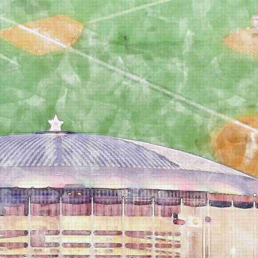 Houston Astrodome Baseball Stadium Print, Houston Astros Baseball